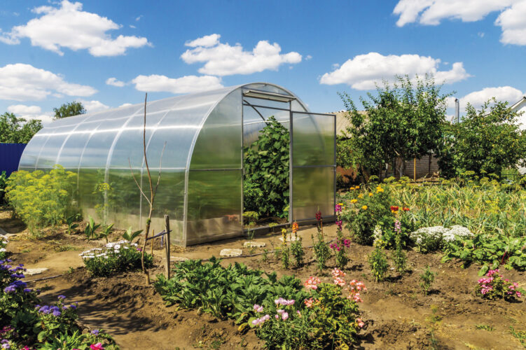 Hoop House Plans: Site a Hoop House for Success – Mother Earth News